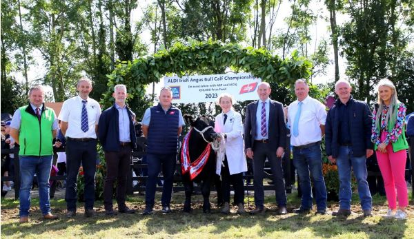 Longford breeders capture prestigious All-Ireland title - Longford Live